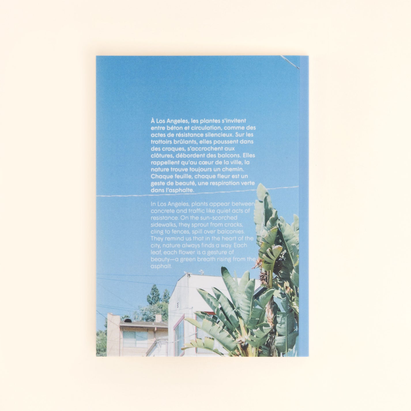 cahier de notes echo park - CIKLO
